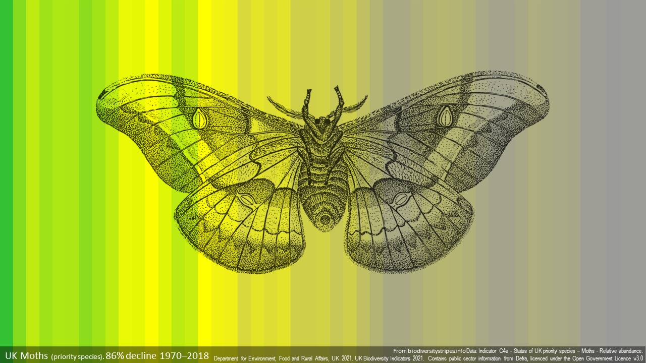 #BiodiversityStripes